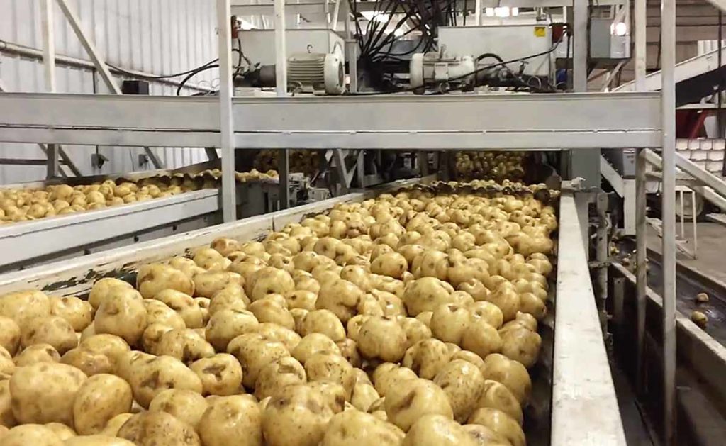 Wenta Nip & Sanitizing Potato Sprout Control and Crop Storage